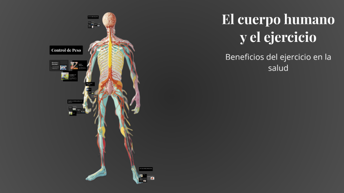 El cuerpo humano y el ejercicio by 3A Martínez Perfecto Luis Enrique on ...