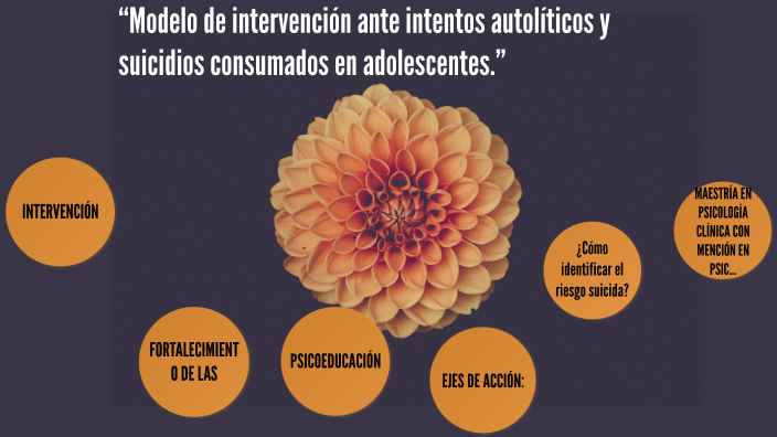 “Modelo de intervención ante intentos autolíticos y suicidios ...