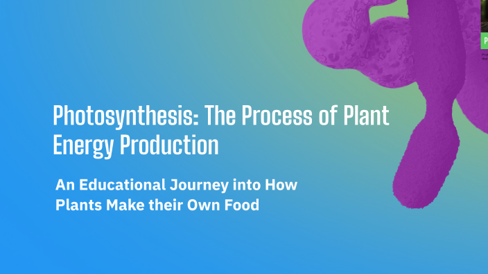 Photosynthesis: The Process of Plant Energy Production by ROOPSINGH ...