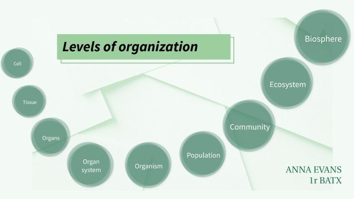 Levels of organization by Anna Evans on Prezi