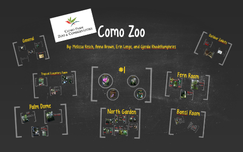 Como Zoo by Melissa Resch