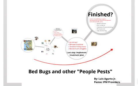 Integrated Bed Bug Management by Luis Agurto on Prezi