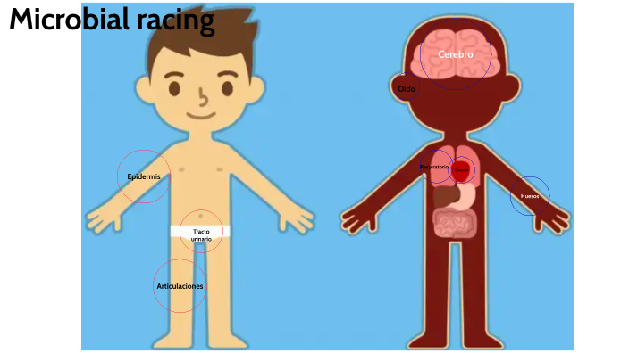 Microbial racing by deibyd reyes on Prezi