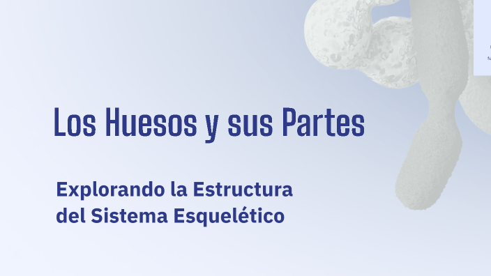 Los Huesos y sus Partes by alizee espitia on Prezi