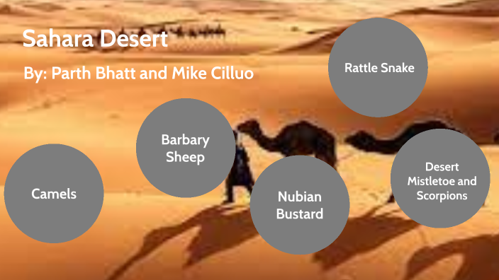 Sahara desert by Michael Ciullo on Prezi