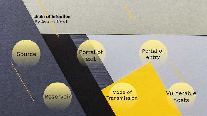 HIV Chain of infection by AVA HUFFORD on Prezi