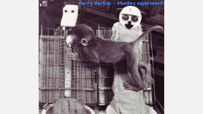 Harry Harlow - Monkey experiment by Ruth Fernández on Prezi