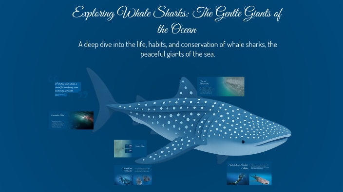 Exploring Whale Sharks: The Gentle Giants of the Ocean by Ket Vil on Prezi