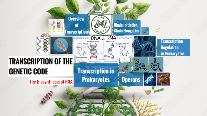 Transcription of the Genetic Code by Dexther Villanueva on Prezi
