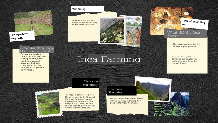 Inca Farming by HAILEY LEMKE on Prezi
