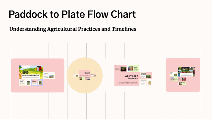 Paddock to Plate Flow Chart by finn dyett on Prezi
