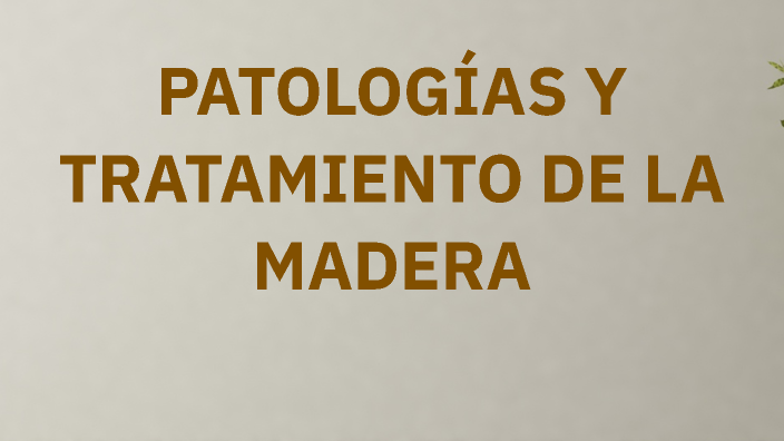 PATOLOGÍAS Y TRATAMIENTO DE LA MADERA by Marta Torrijos on Prezi