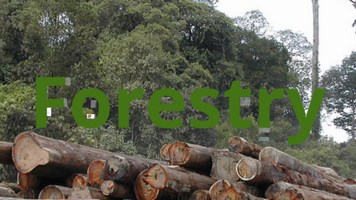 Forest Industry in British Columbia by Elena Villar Antón on Prezi Next