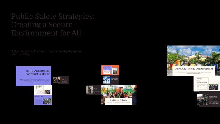 Public Safety Strategies: Creating a Secure Environment for All by Amar ...