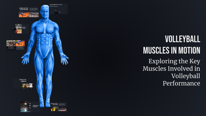 Volleyball Muscles In Motion by Bilvit Hoffman on Prezi