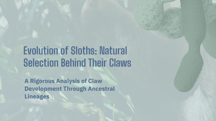 Evolution of Sloths by Bhuvanesh Sekaran on Prezi