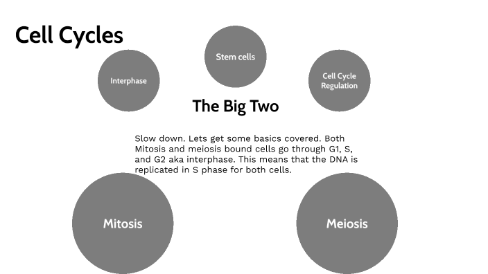 Cell Cycles Unit Review by Emmanuel Gitu on Prezi