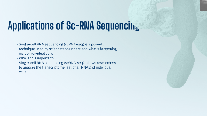 Applications of Sc-RNA Sequencing by Deborah Affonso on Prezi