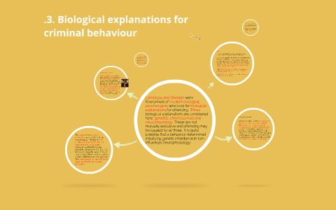 .3. Biological explanations for criminal behaviour by mark williams on ...