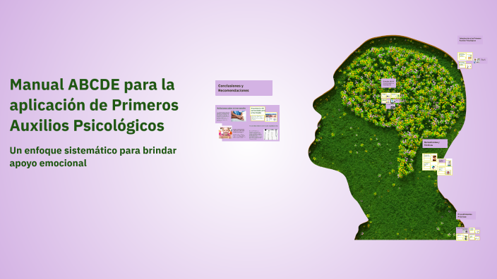 Manual ABCDE para la aplicación de Primeros Auxilios Psicológicos by ENRIQUE ANTONIO RANGEL ...