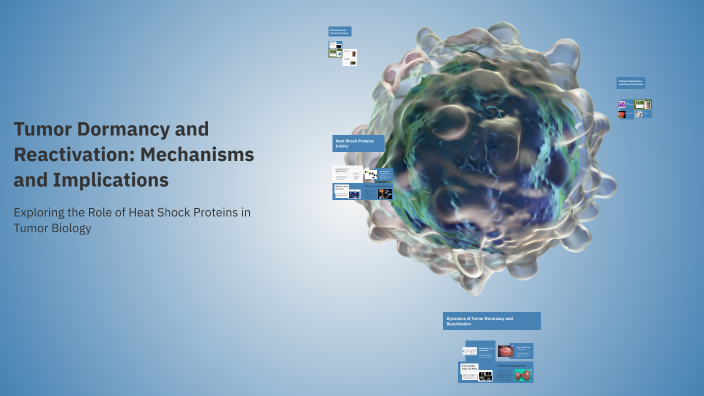 Tumor Dormancy and Reactivation: Mechanisms and Implications by Haneef ...