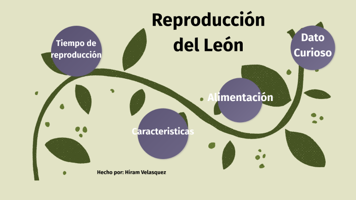 Reproducción de los Leones by Hiram Velasquez on Prezi