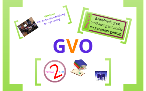 GVO: Gezondheidsvoorlichting en -opvoeding by Mirjam Koetse on Prezi