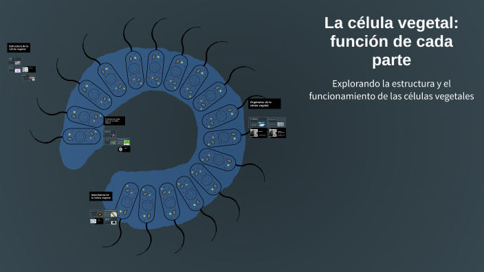 La célula vegetal: función de cada parte by Brandon Abad ubaldo on Prezi