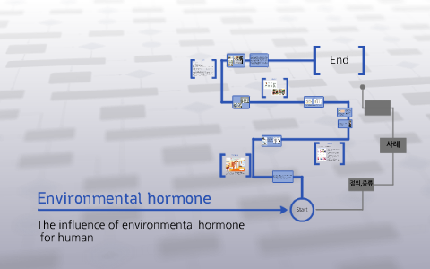 Environmental hormone by jiye YOON on Prezi