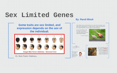 Sex Limited Genes by Randi Block on Prezi