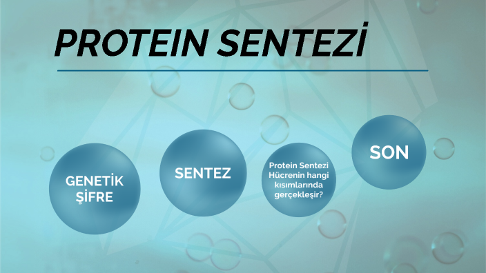 PROTEIN SENTEZİ by YUNUS EMRE TURHAN on Prezi