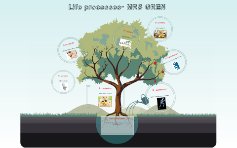 Life processes- MRS GREN by Hannah Spiller on Prezi