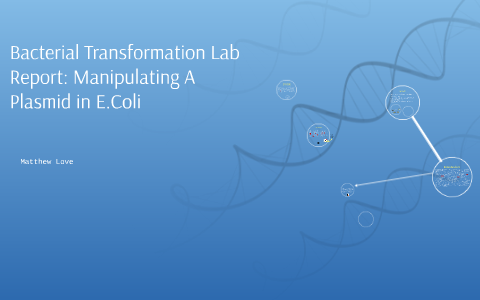 Bacterial Transformation Lab by Matt Love on Prezi