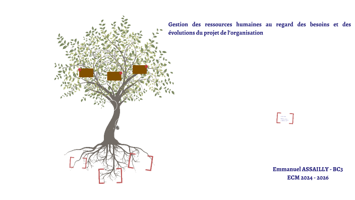 Gestion des ressources humaines au regard des besoins et des évolutions ...
