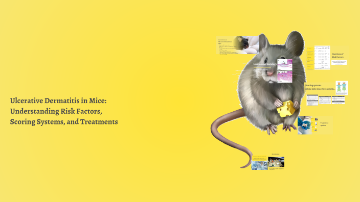 Ulcerative Dermatitis in Mice: Understanding Risk Factors, Scoring ...