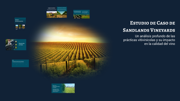 Estudio de Caso de Sandlands Vineyards by Araceli Villegas on Prezi