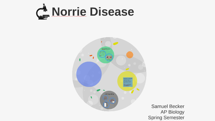 Norrie Disease and Cell Signaling by Samuel Becker on Prezi