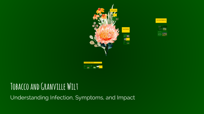 Tobacco and Granville Wilt by Garrett Schultz on Prezi