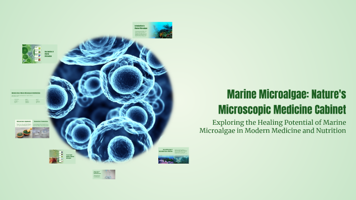 Marine Microalgae: Nature's Microscopic Medicine Cabinet by Rawan ...