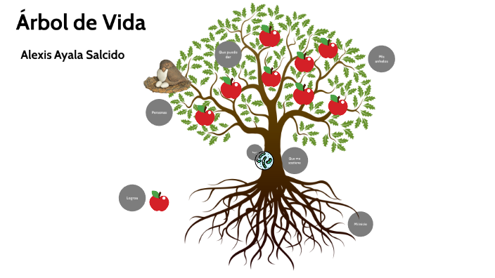 Árbol de Vida by Alexis Ayala Salcido on Prezi