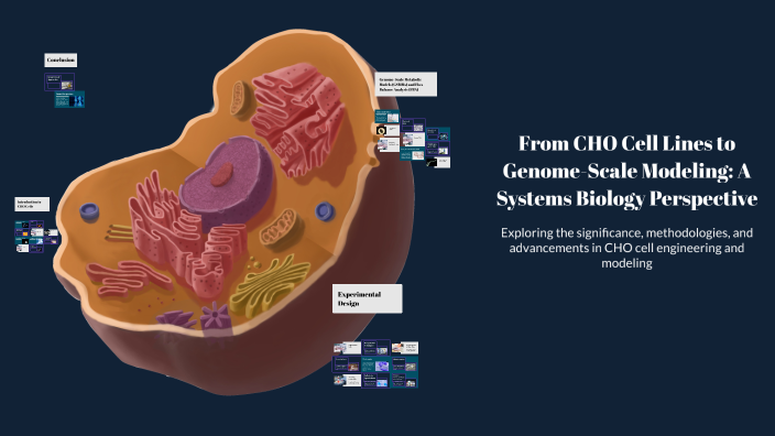 From CHO Cell Lines to Genome-Scale Modeling: A Systems Biology ...