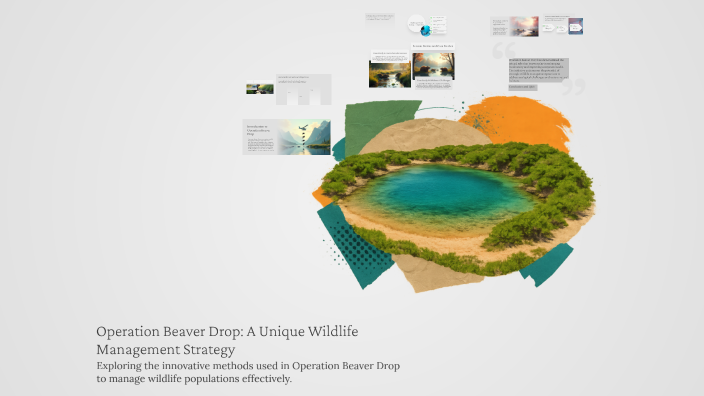 Operation Beaver Drop: A Unique Wildlife Management Strategy by Justin ...