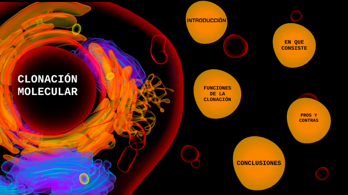 clonación molecular by maria jimenez on Prezi