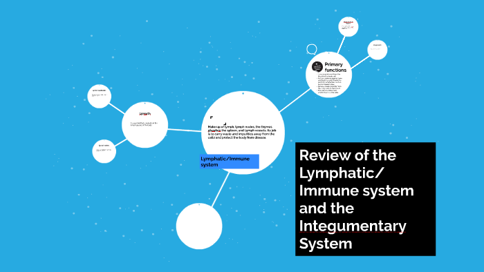 Review of the Lymphatic/Immune system and the Integumentary by Kaylee ...