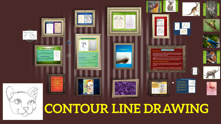 BCS Contour Line Drawing; Animals by Mrs. C on Prezi