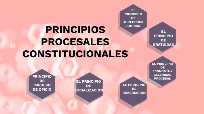 PRINCIPIOS PROCESALES by Yomara Cotrina Roque on Prezi
