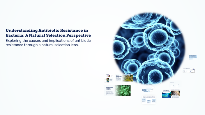 Understanding Antibiotic Resistance in Bacteria: A Natural Selection ...