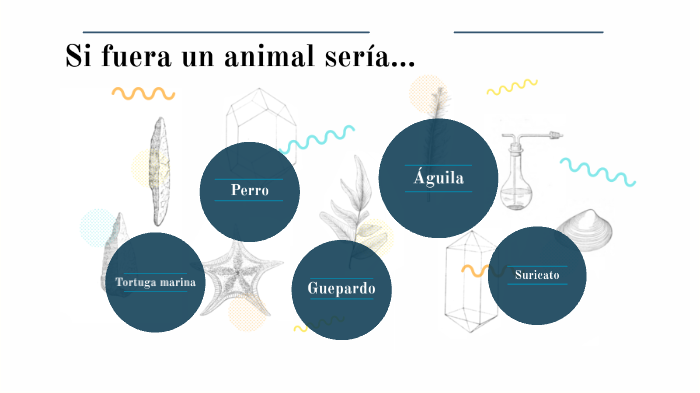 Si fuera un animal... by Jose Carlos Figueredo Tinoco on Prezi