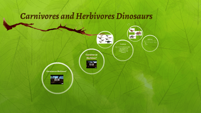 Carnivores and Herbivores Dinosaurs by Jessica Solis on Prezi