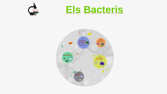 Els Bacteris by paula navarro on Prezi